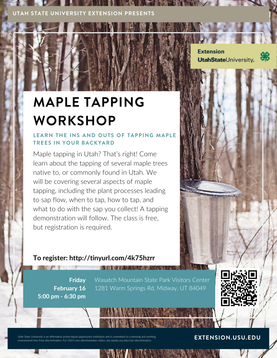 Maple Tapping Workshop – Heber Valley Life